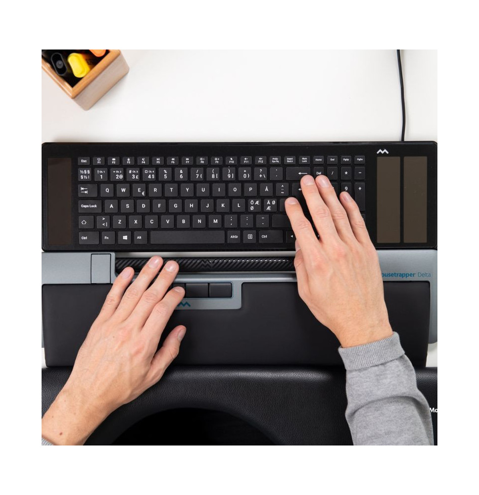 Delta - souris centrale- Mousetrapper avec pointeur - Nouveauté Couleur ...