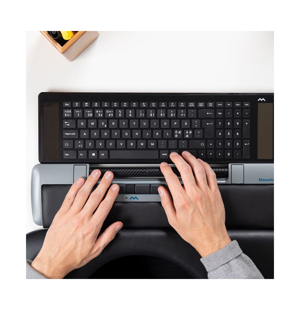 Delta Regular - souris centrale Mousetrapper - souris avec pointeur ...